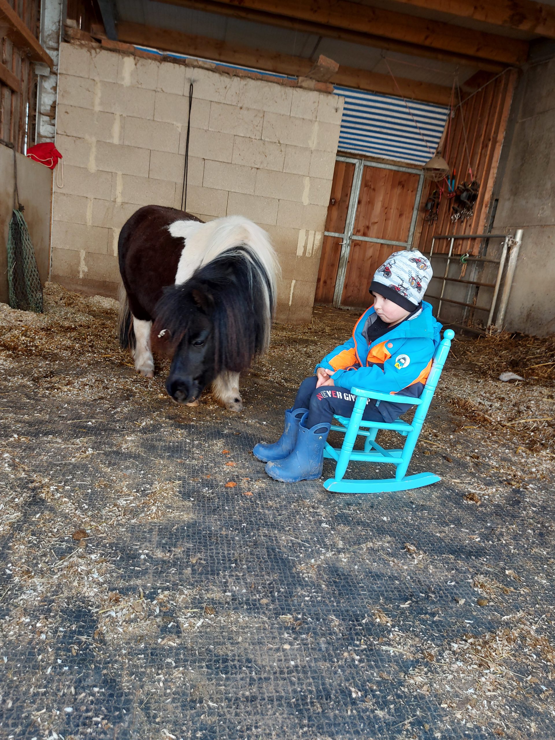 Sandrine's Pony Express – Just another WordPress site